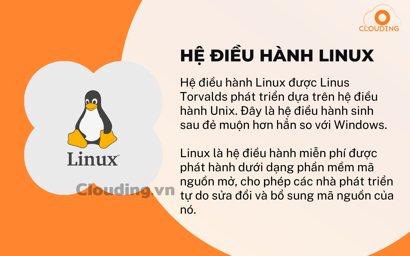 Nên chọn VPS Windows hay VPS Linux